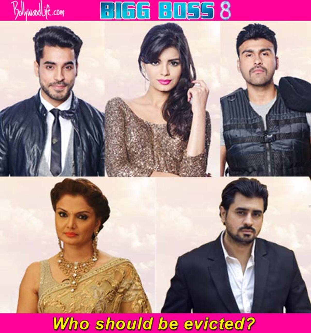 Bigg Boss 8: Gautam Gulati, Arya Babbar, Sonali Raut, RJ Pritam ...
