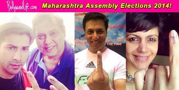 Maharashtra Assembly Elections 2014: Varun Dhawan, David Dhawan, Madhur ...