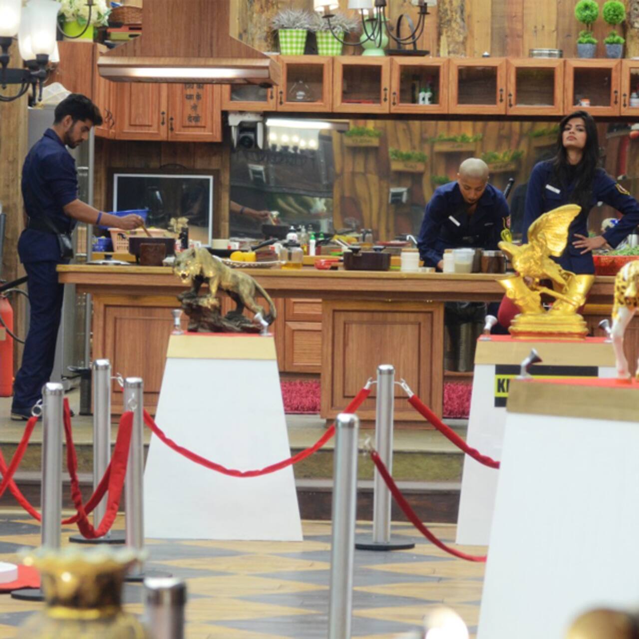 Bigg Boss 8 Gautam Gulati And Sonali Rauts Argument Gets Uglier
