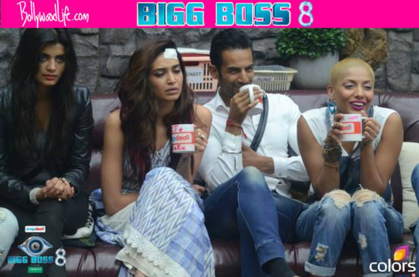 Bigg Boss 8 Highlights Gautam Gulati Pritam Singh Ali Quli Mirza And
