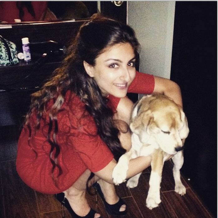 soha - Bollywoodlife.com