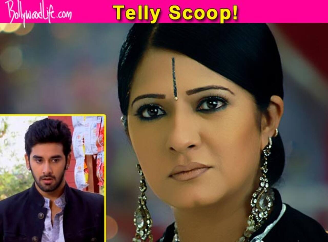 Ek Veer Ki Ardaas...Veera: Usha Bachani to play Vishal Vashishtha aka ...