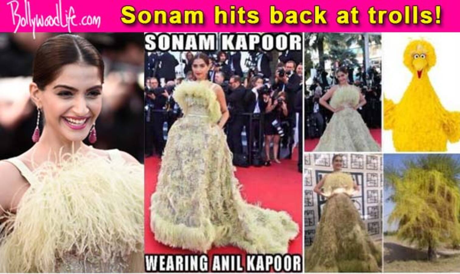 Sonam Kapoor has the BEST response to memes about her Elie Saab dress ...