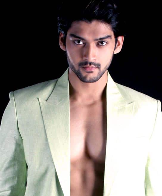 Aditya Redij makes a comeback with Meri Awaaz Hi Pehchaan Hai ...