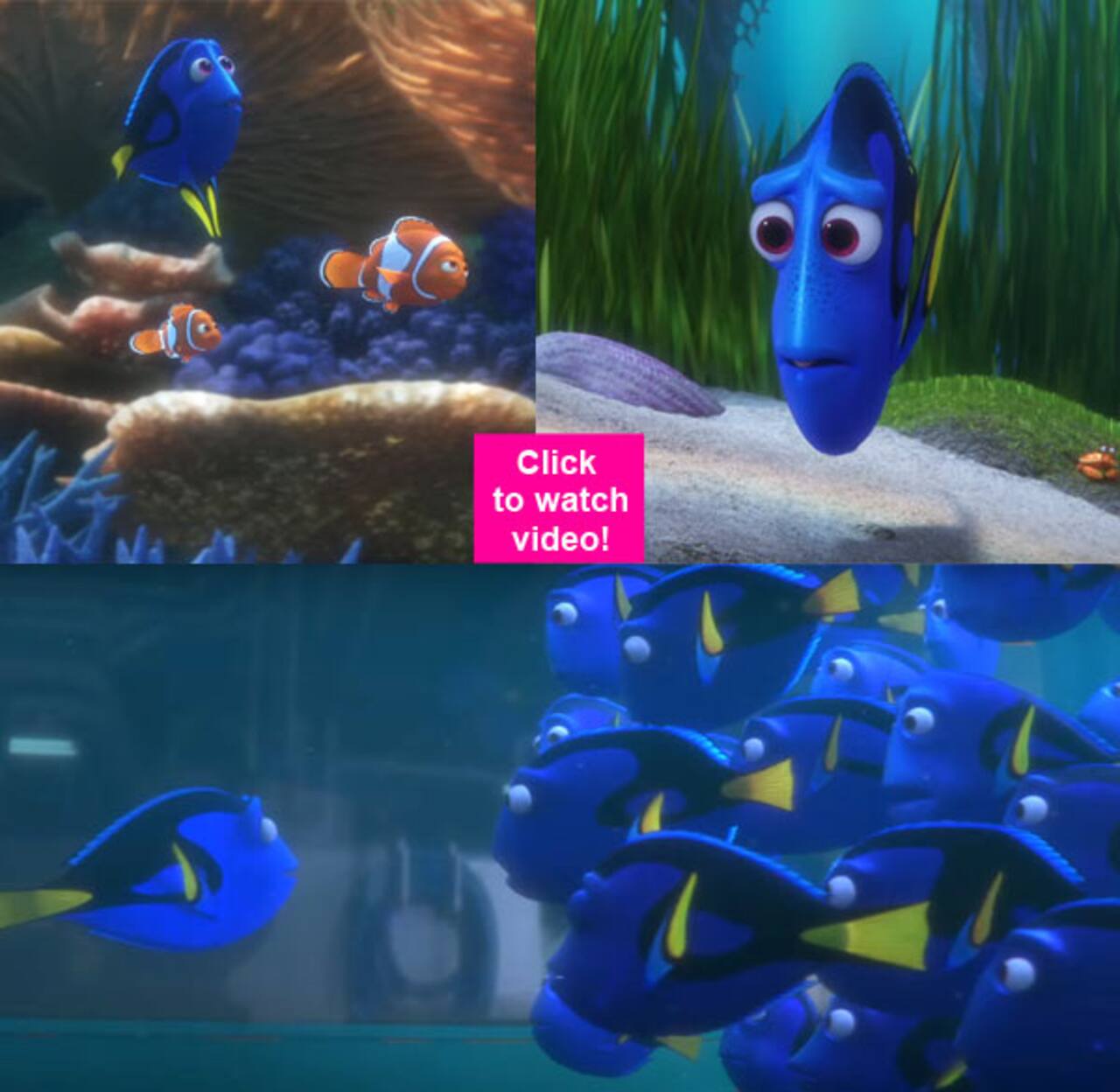Finding Dory trailer: Finding your way back home never felt so ...