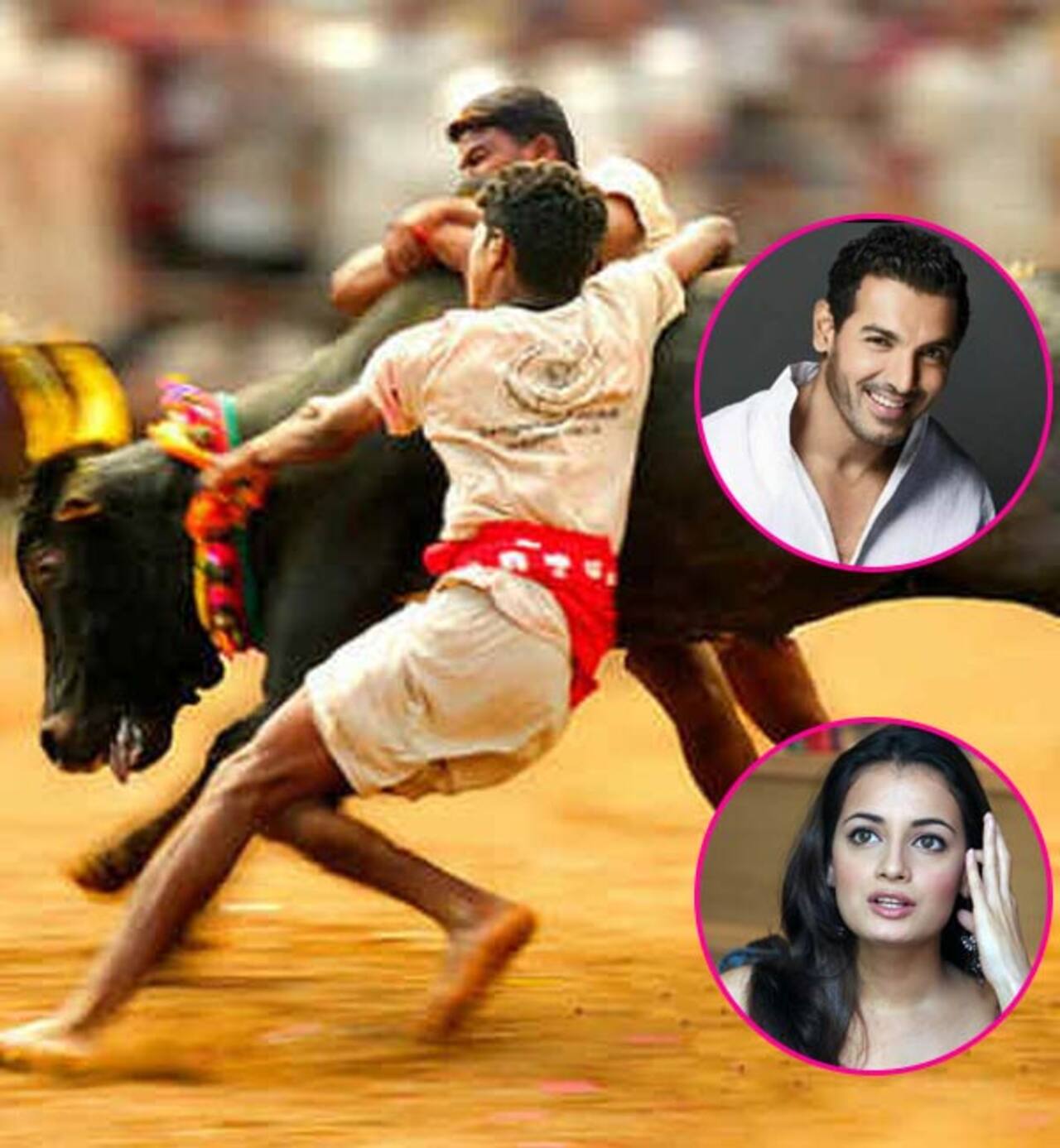 Jallikattu row: John Abraham, Dia Mirza, Ronit Roy come out in support of PETA - Bollywood News ...