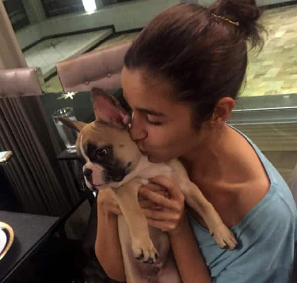 सड़क के पालतू कुत्ते बिल्लियों के लिए आलिया भट्ट की ये पहल सराहनीय है ...