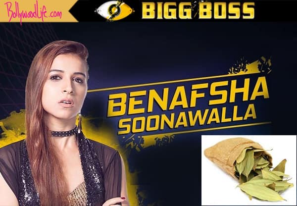 Benafsha Soonawalla Bigg Boss 11: Biography, profile, photos ...