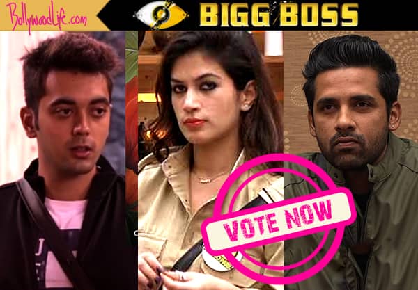Bigg Boss 11: Puneesh Sharma, Bandagi Kalra or Luv Tyagi - who should ...