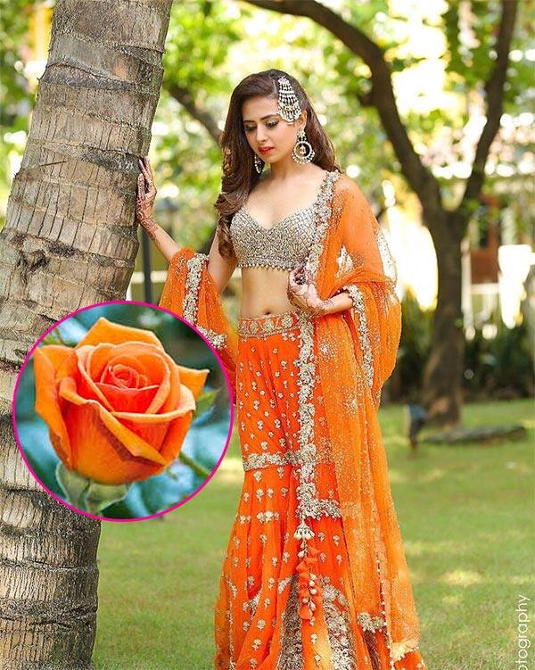 Rose Day: Surbhi Chandna, Asha Negi, Anita Hassanandani paint a rosy ...