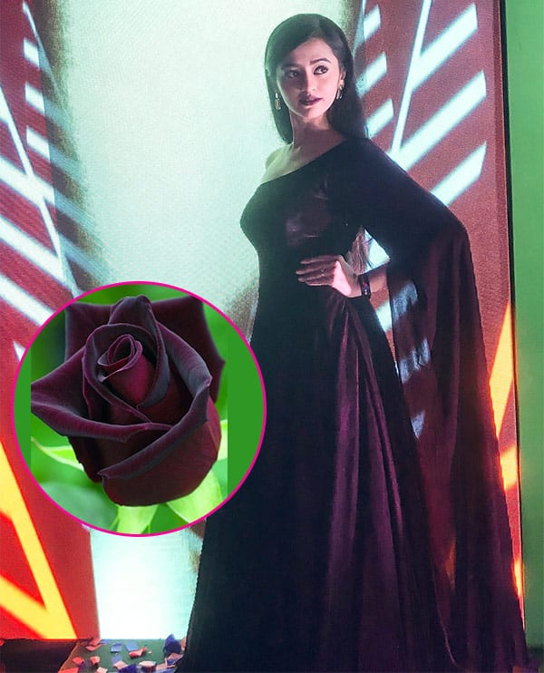 Rose Day: Surbhi Chandna, Asha Negi, Anita Hassanandani paint a rosy ...