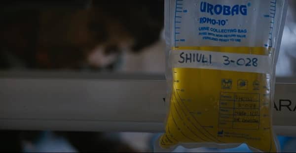 October trailer: The case of mysterious flower in Varun Dhawan's film ...