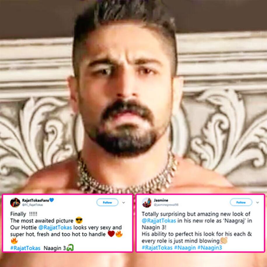 Rajat Tokas returns as Naag Raj in Naagin 3 and Twitterati goes crazy ...
