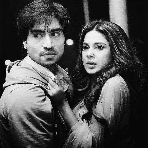 Bepannaah: Zoya to save Aditya from a leopard when trapped in the ...