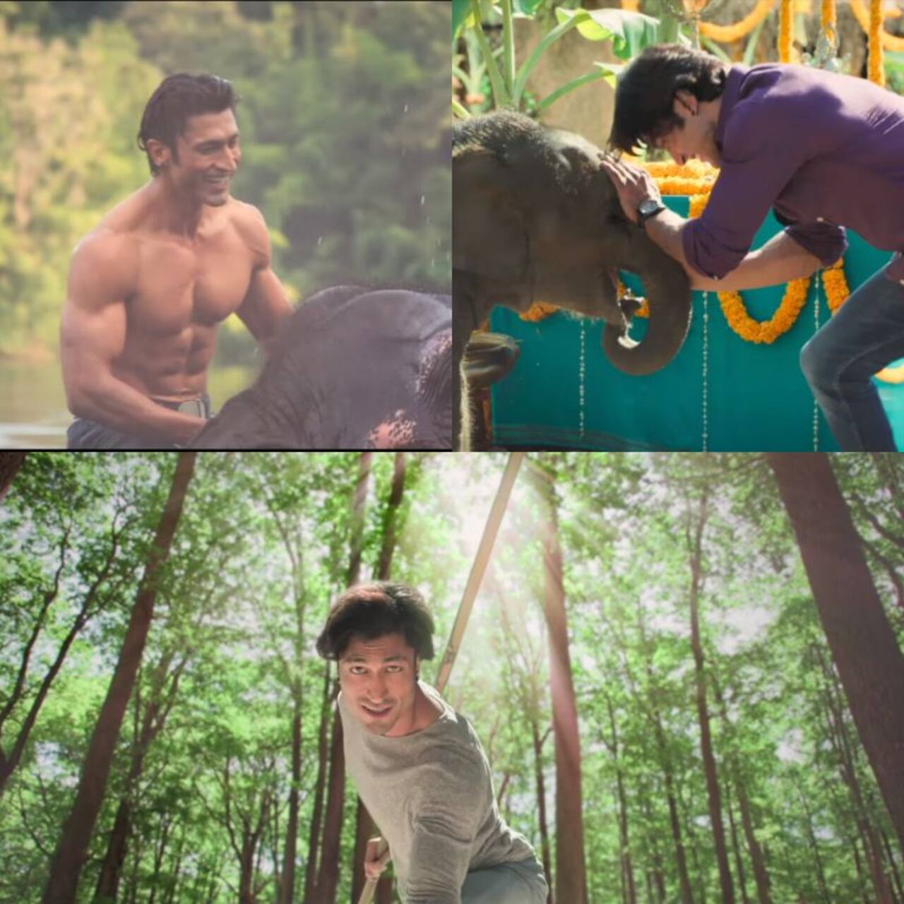Junglee teaser: Vidyut Jammwal as Indian Tarzan is already winning our ...