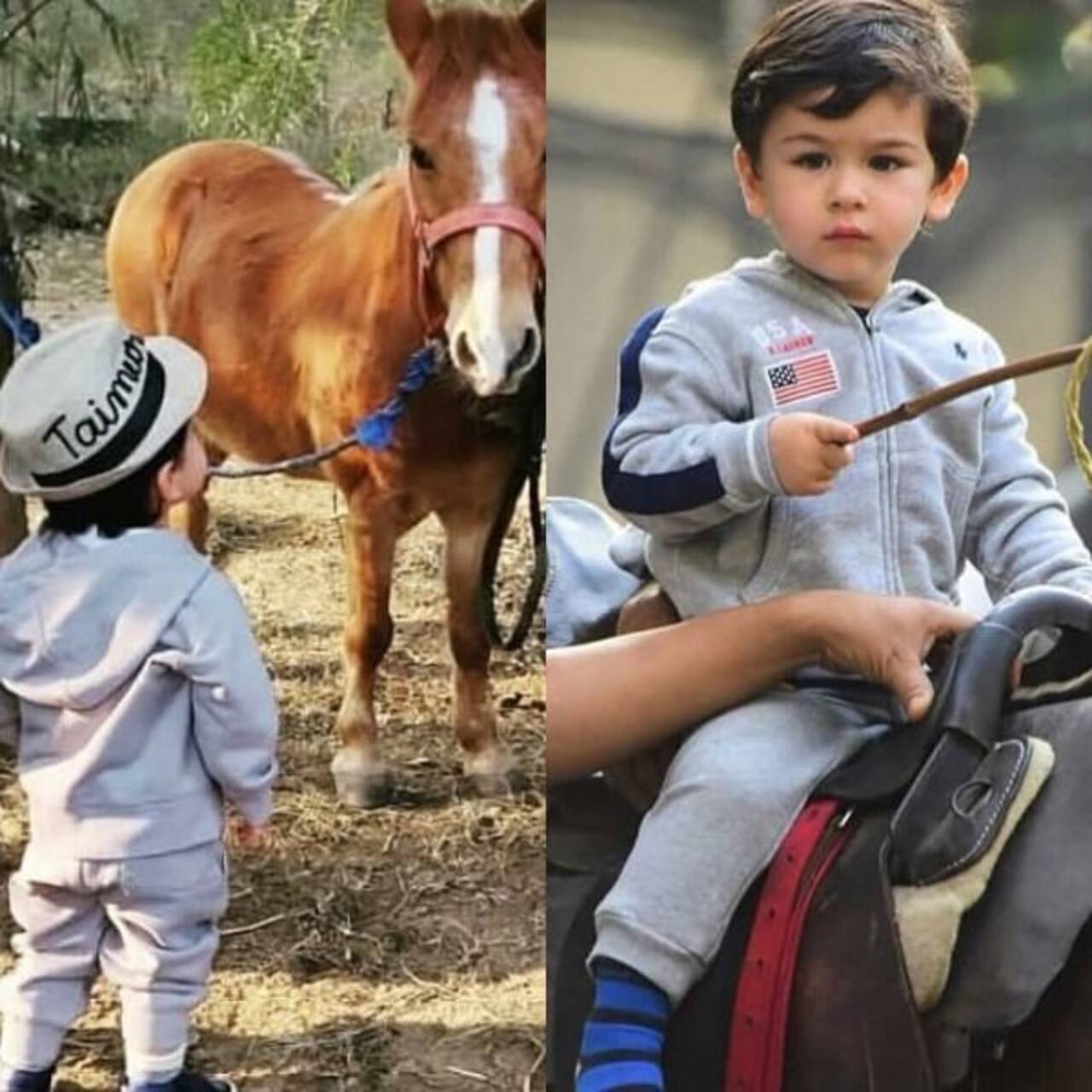 Living life king size! Taimur finds a friend in this little pony as he ...