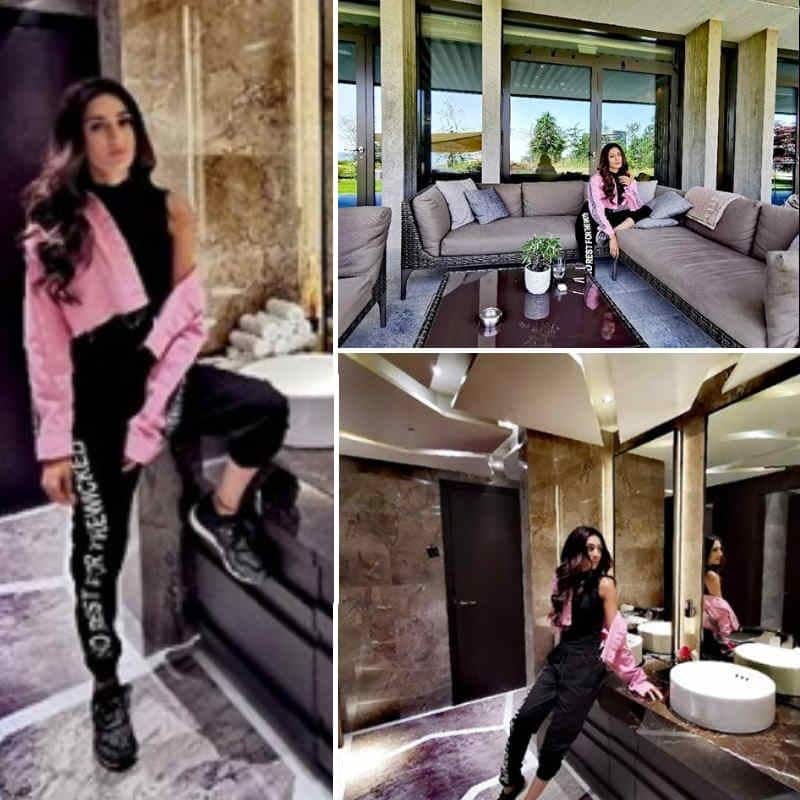 स्विटजरलैंड की वादियों को छोड़कर वॉशरूम में फोटोशूट करा रही हैं एरिका ...