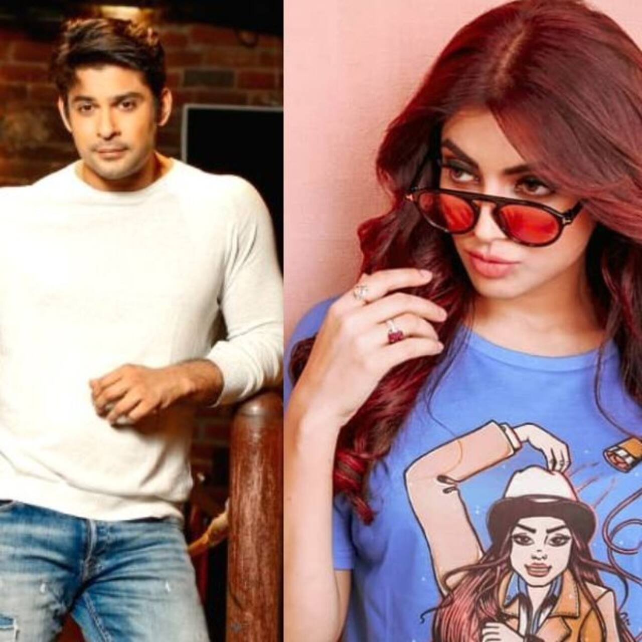 Bigg Boss 13: Sidharth Shukla's rumoured ex-girlfriend Akanksha Puri ...