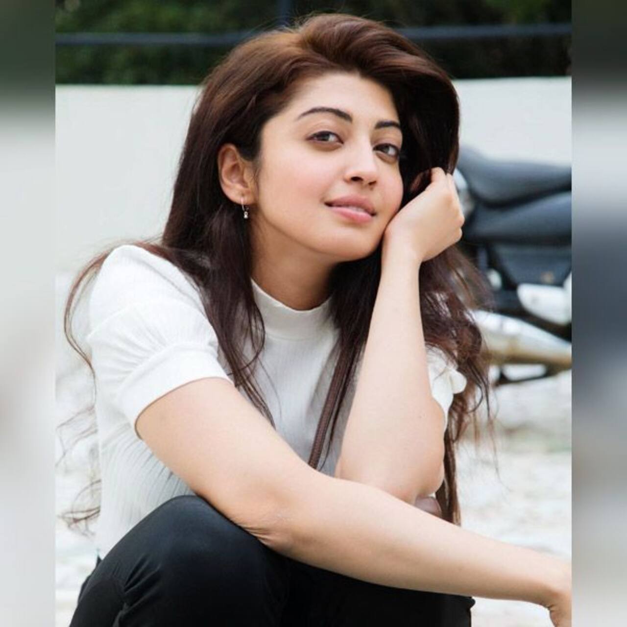 Bhuj: The Pride of India Actress Pranitha Subhash Bold And Beautifull ...