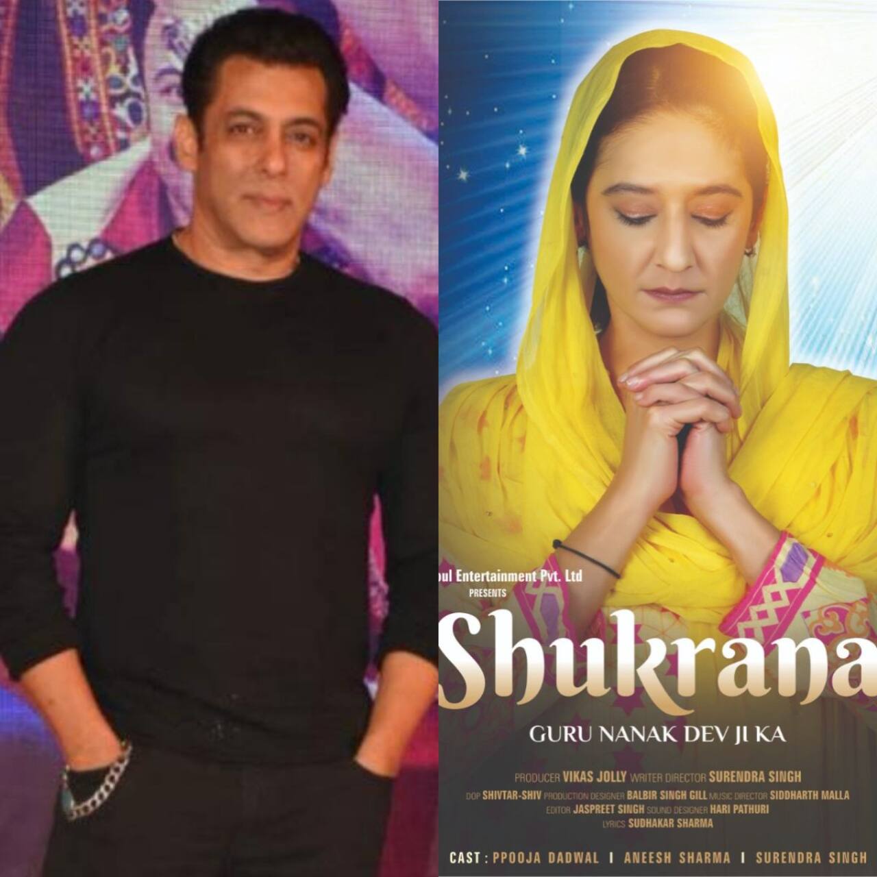 Salman Khan's heroine, Pooja Dadwal, to make a comeback after 15 years ...