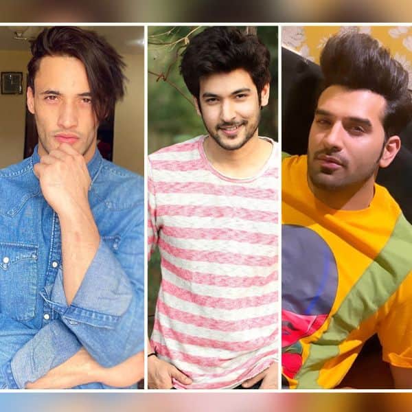 Paras Chhabra, Shivin Narang or Asim Riaz — who do you think should ...