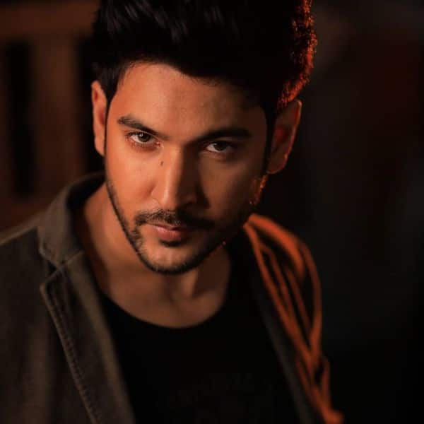 Naagin 5: Not Paras Chhabra or Asim Riaz, fans want Shivin Narang to ...