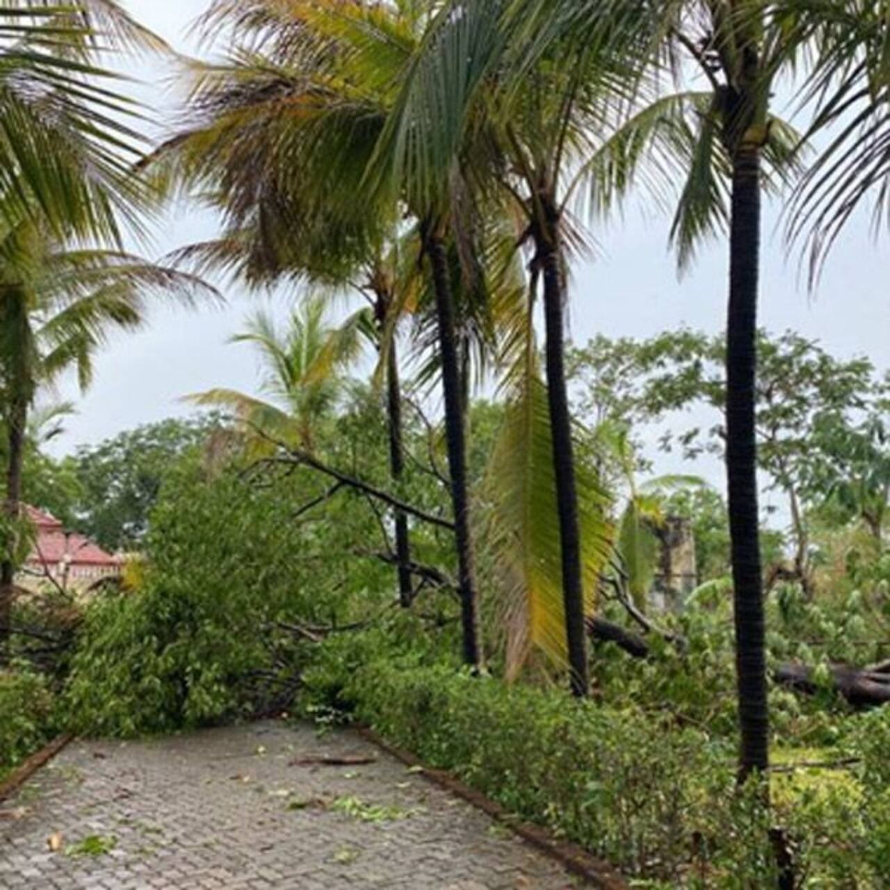 Nisarg Cyclone destroyed Salman Khan's farmhouse, check inside images ...