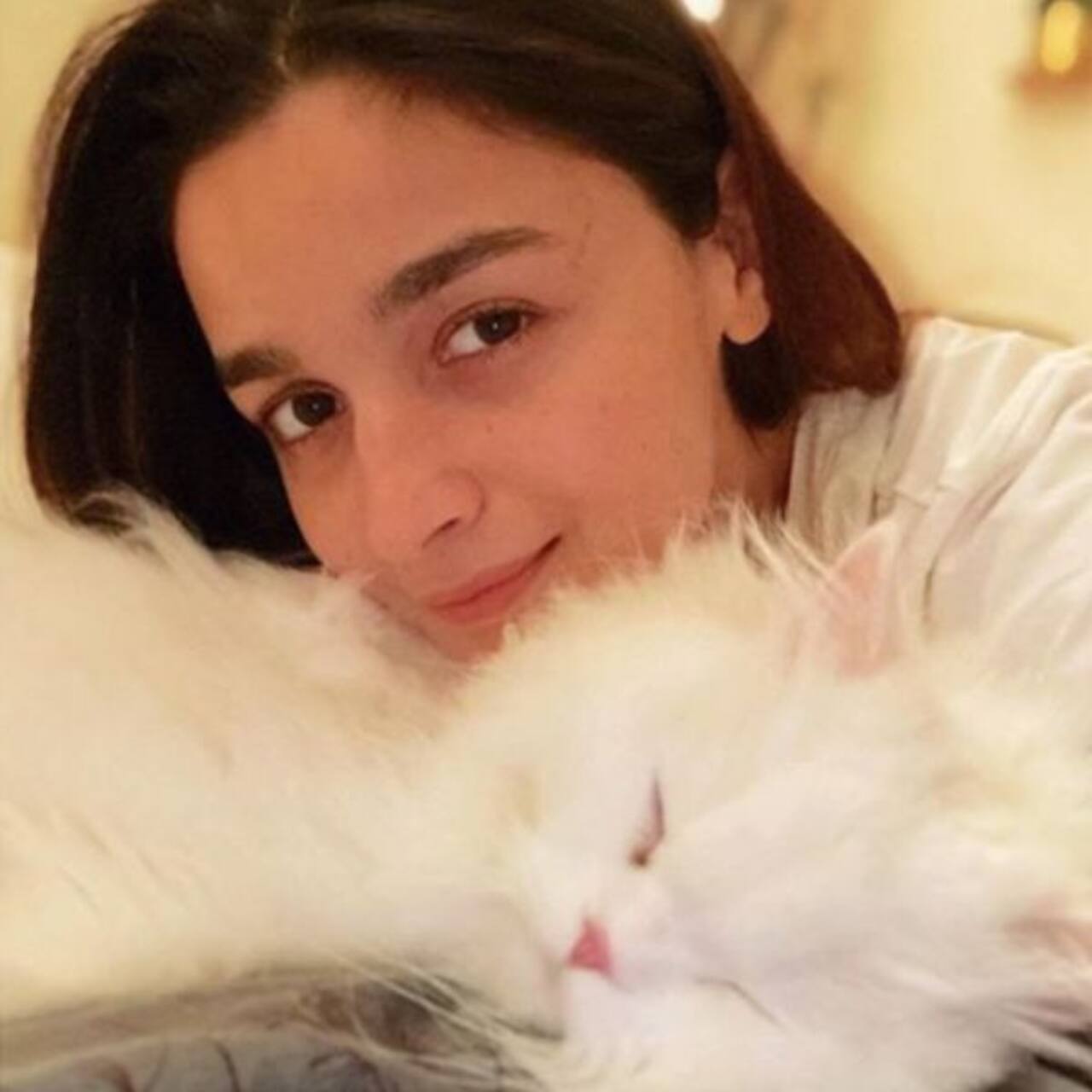 Alia Bhatt chilling with her furry friend, Edward, is the cutest thing ...