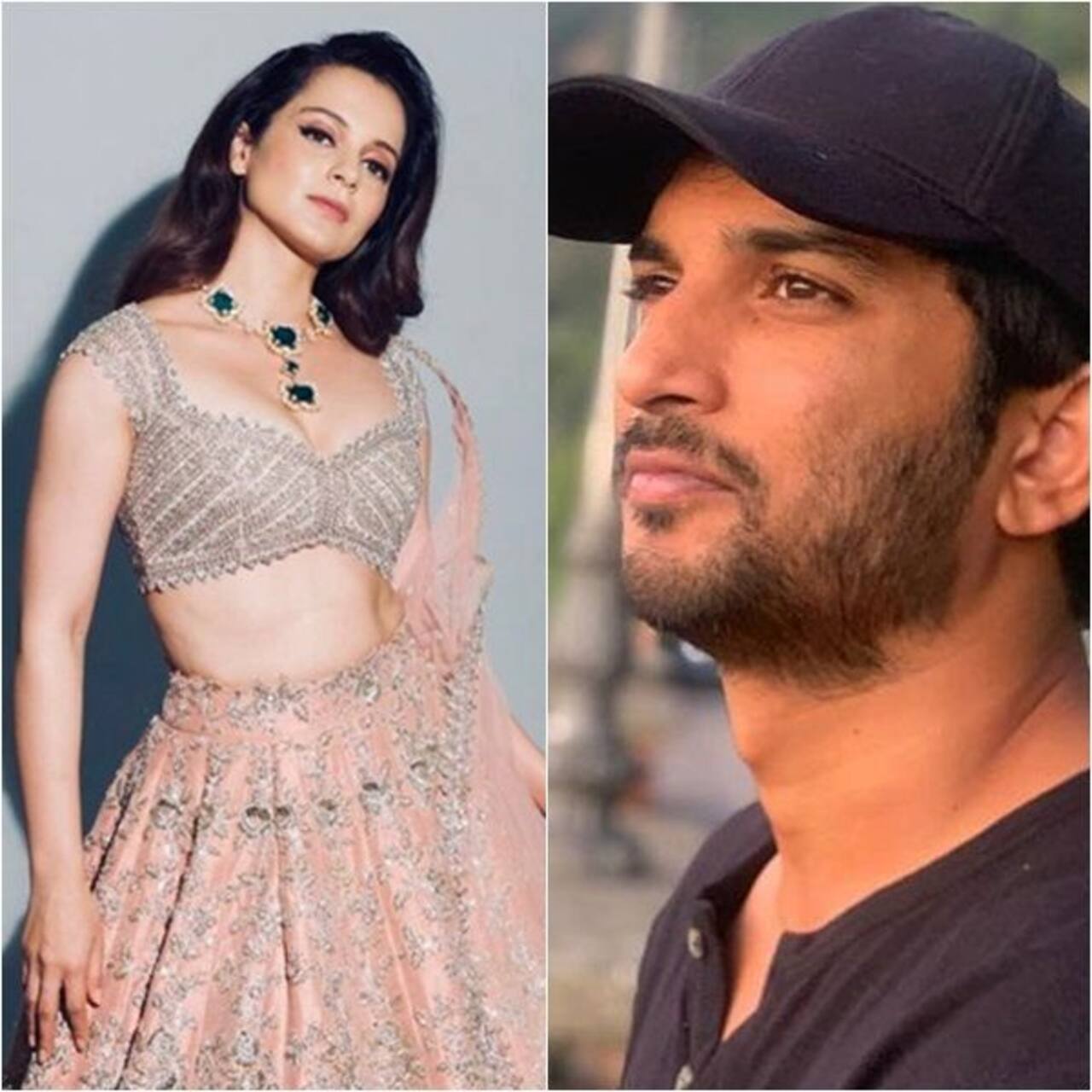 2020 Recap Conspiracy Theories Around Sushant Singh Rajputs Death