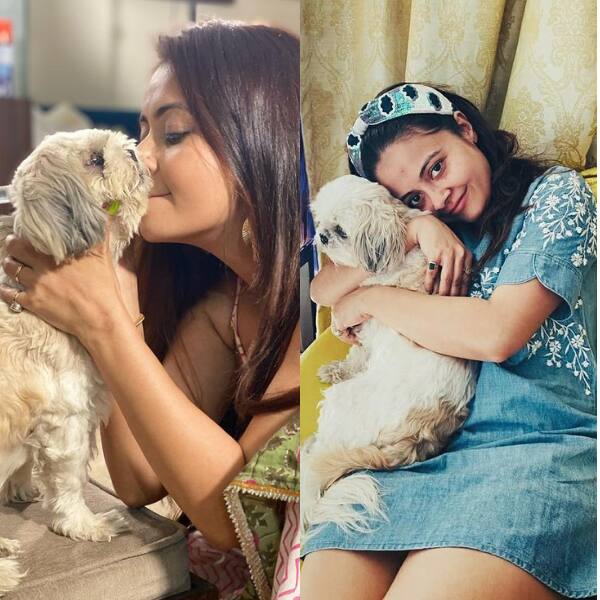 From Jennifer Winget to Kishwer Merchant and 14 more television celebs ...