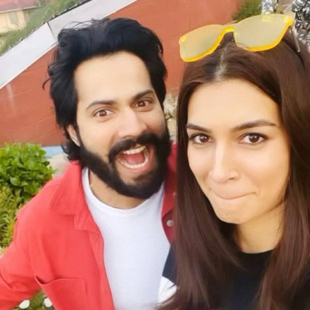 Bhediya: Varun Dhawan bonding with animals and other BTS pics from the ...