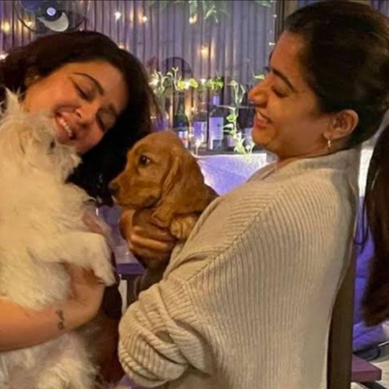 Rashmika Mandanna cute dog Aura photos goes viral: डॉगी ऑरा के बिना एक ...
