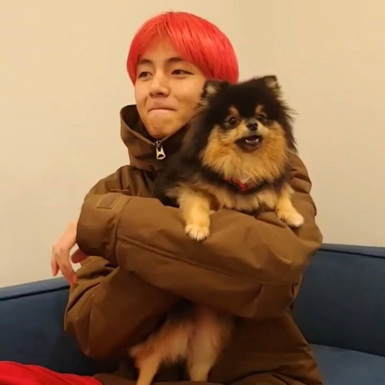 BTS: V's parents had DESI reaction to getting a friend for Yeotan ...