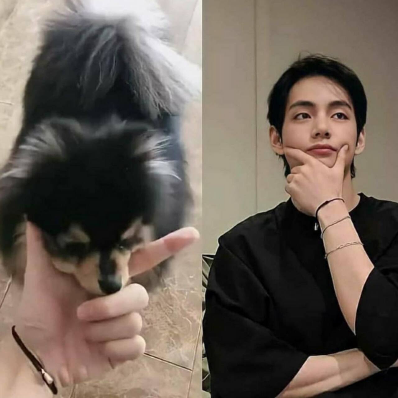 BTS' V aka Kim Taehyung and pooch Tannie's pictures scream 'like father ...