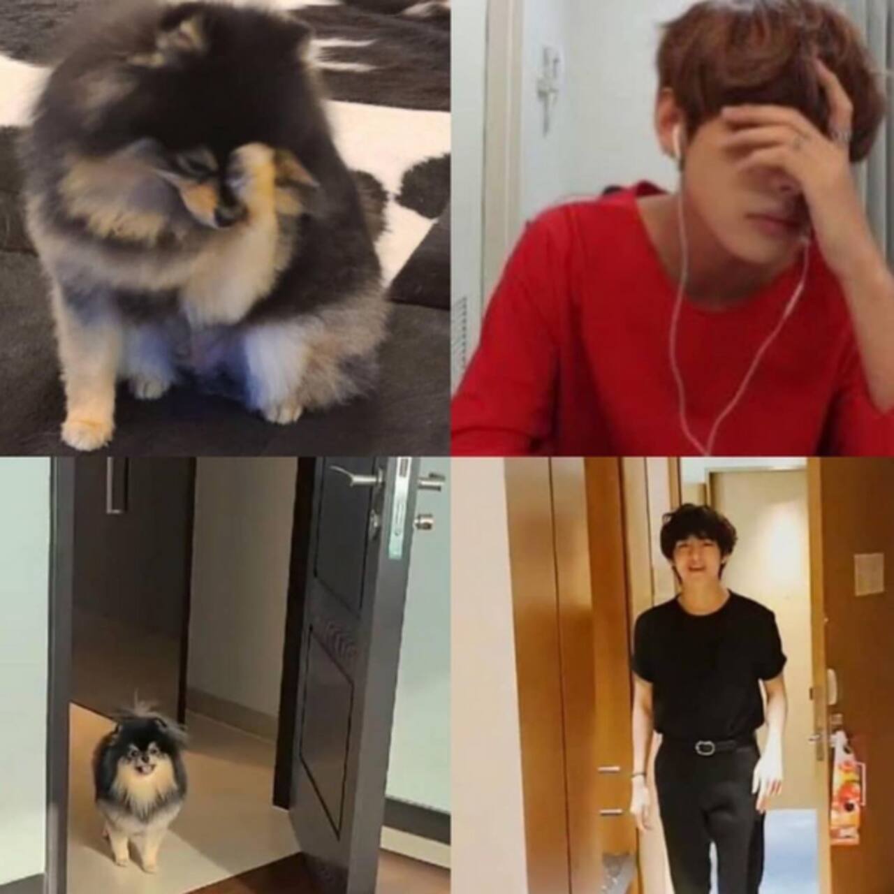 BTS' V aka Kim Taehyung and pooch Tannie's pictures scream 'like father ...