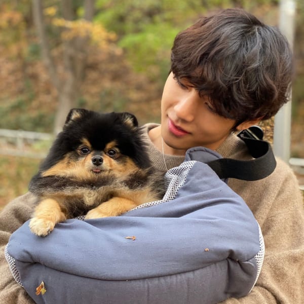 BTS' V aka Kim Taehyung and pooch Tannie's pictures scream 'like father ...