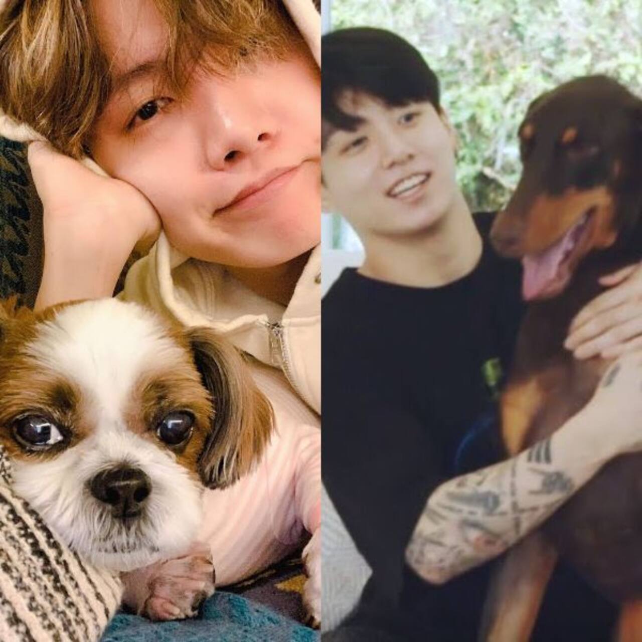 BTS members love their pets and seeing them grow old breaks their ...