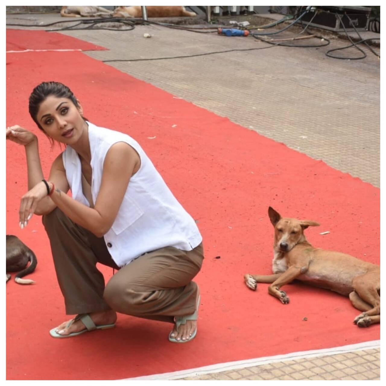 शिल्पा ने डॉगी की तरह दिए पोज, PICS देख मुस्कुराए फैंस - Shilpa Shetty ...