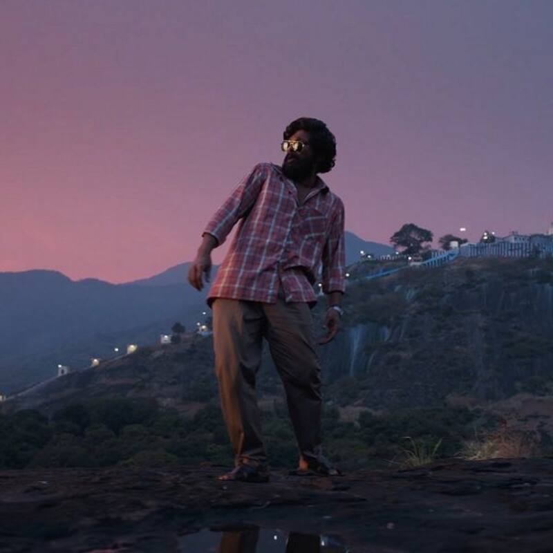 Pushpa song Srivalli: Allu Arjun's quirky steps and expressions steal ...