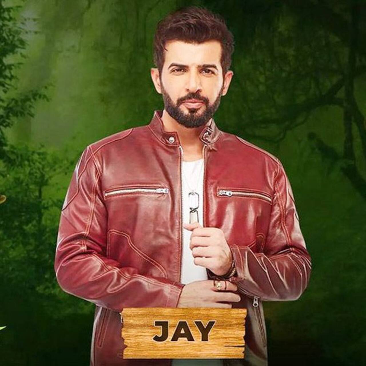 Bigg Boss 15: Karan Kundrra, Jay Bhanushali, Tejasswi Prakash and more ...