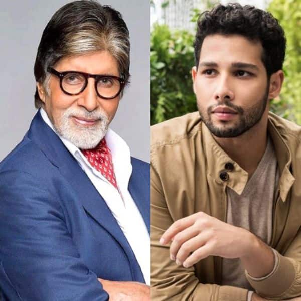 From Amitabh Bachchan to Siddhant Chaturvedi – 5 Bollywood actors who ...