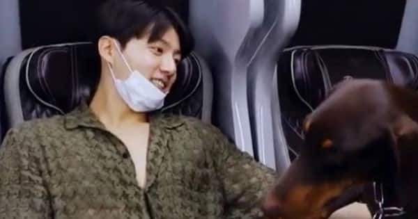 BTS member Jungkook's cute bond with his pawsome friend Bam changes ...
