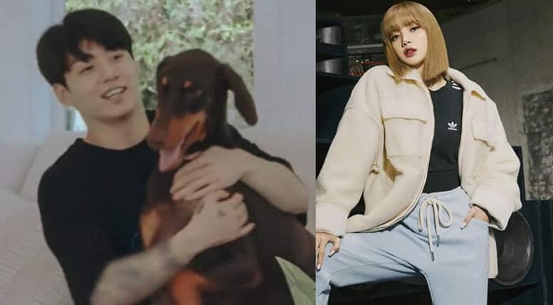 BTS: From believing in destiny to being proud pet parents - 7 ...