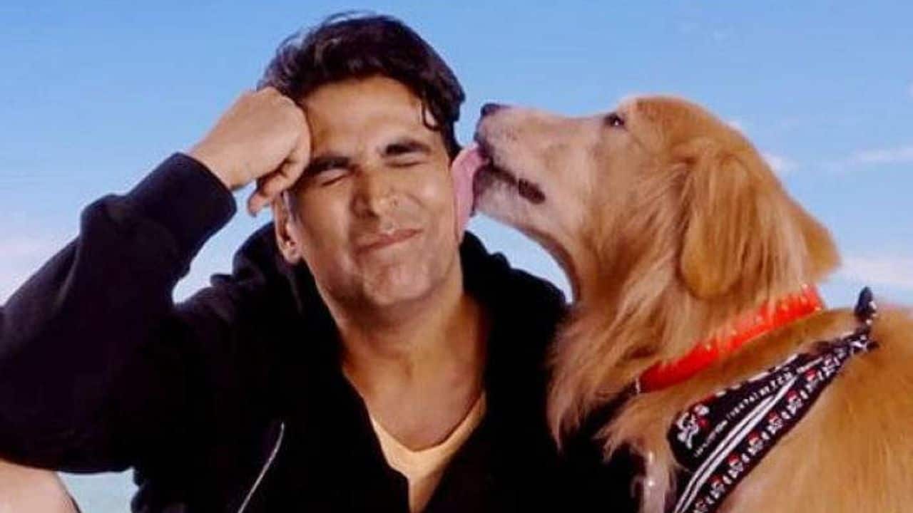 Akshay Kumar is a total softie while cuddling this adorable dog ...
