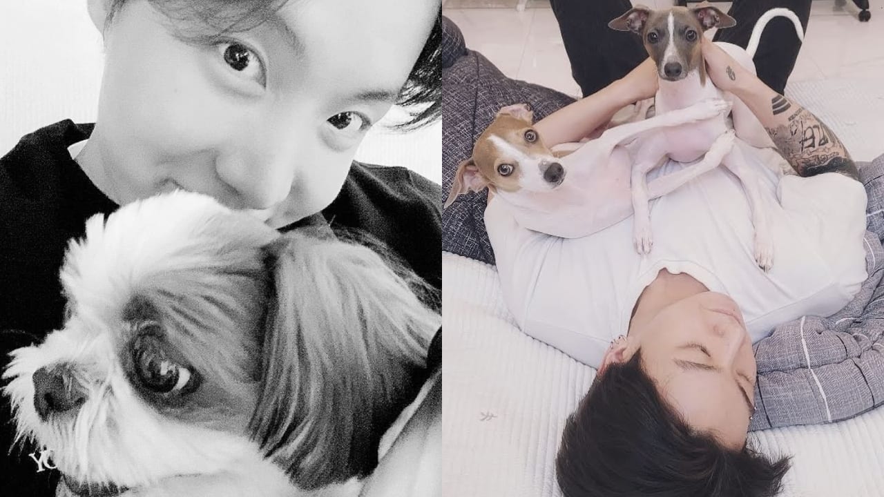 BTS: From J-Hope's Mickey to RM's Rapmon, THESE pet dogs of septet are ...