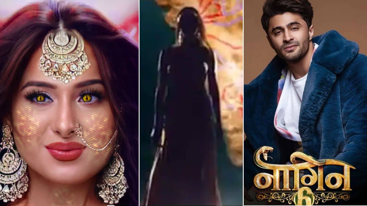 Naagin 6: Mahira Sharma to Ieshaan Sehgaal – Ekta Kapoor chooses THESE ...
