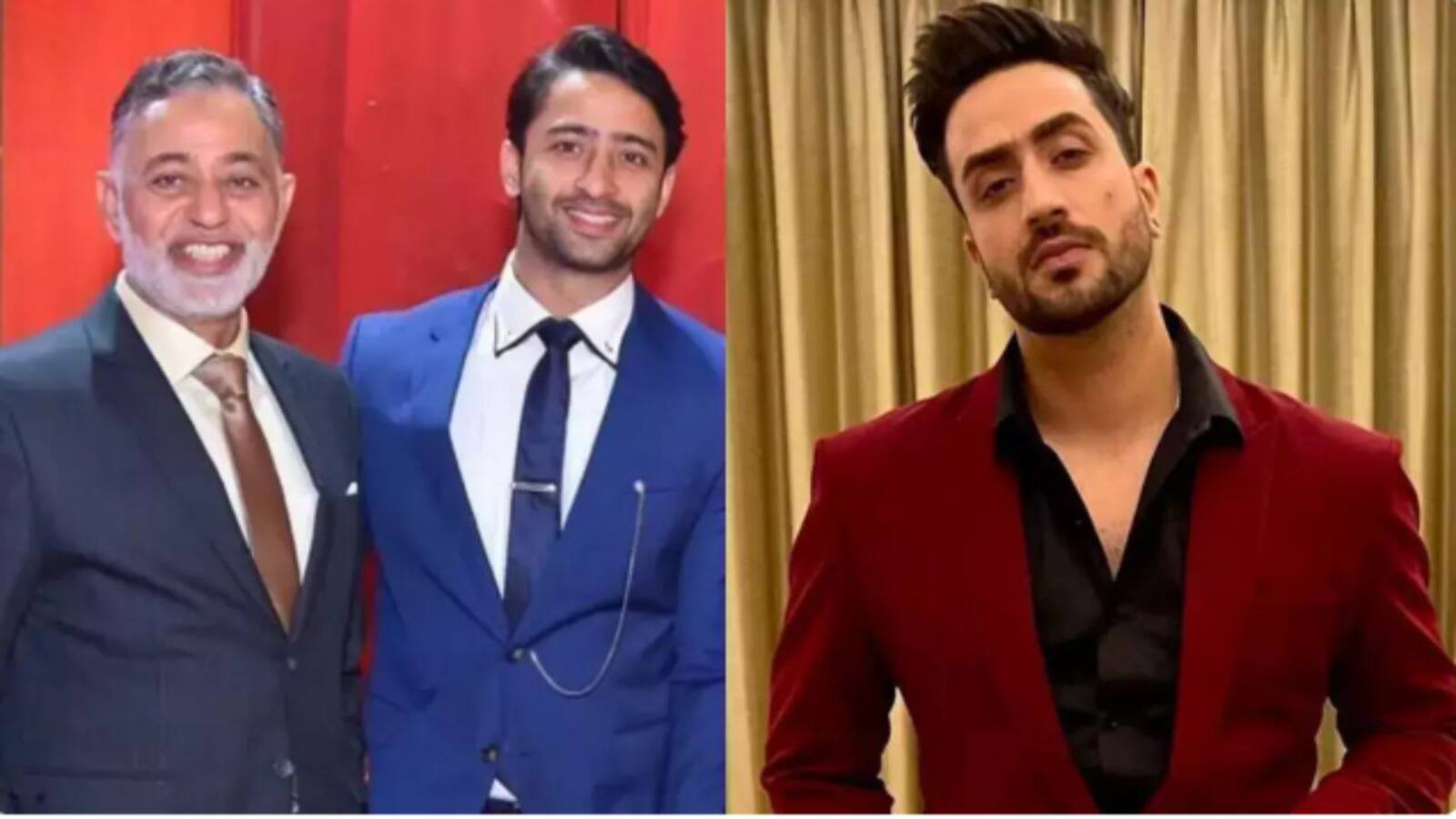 Shaheer Sheikh bereaved as his father passes away due to COVID-19; Aly ...