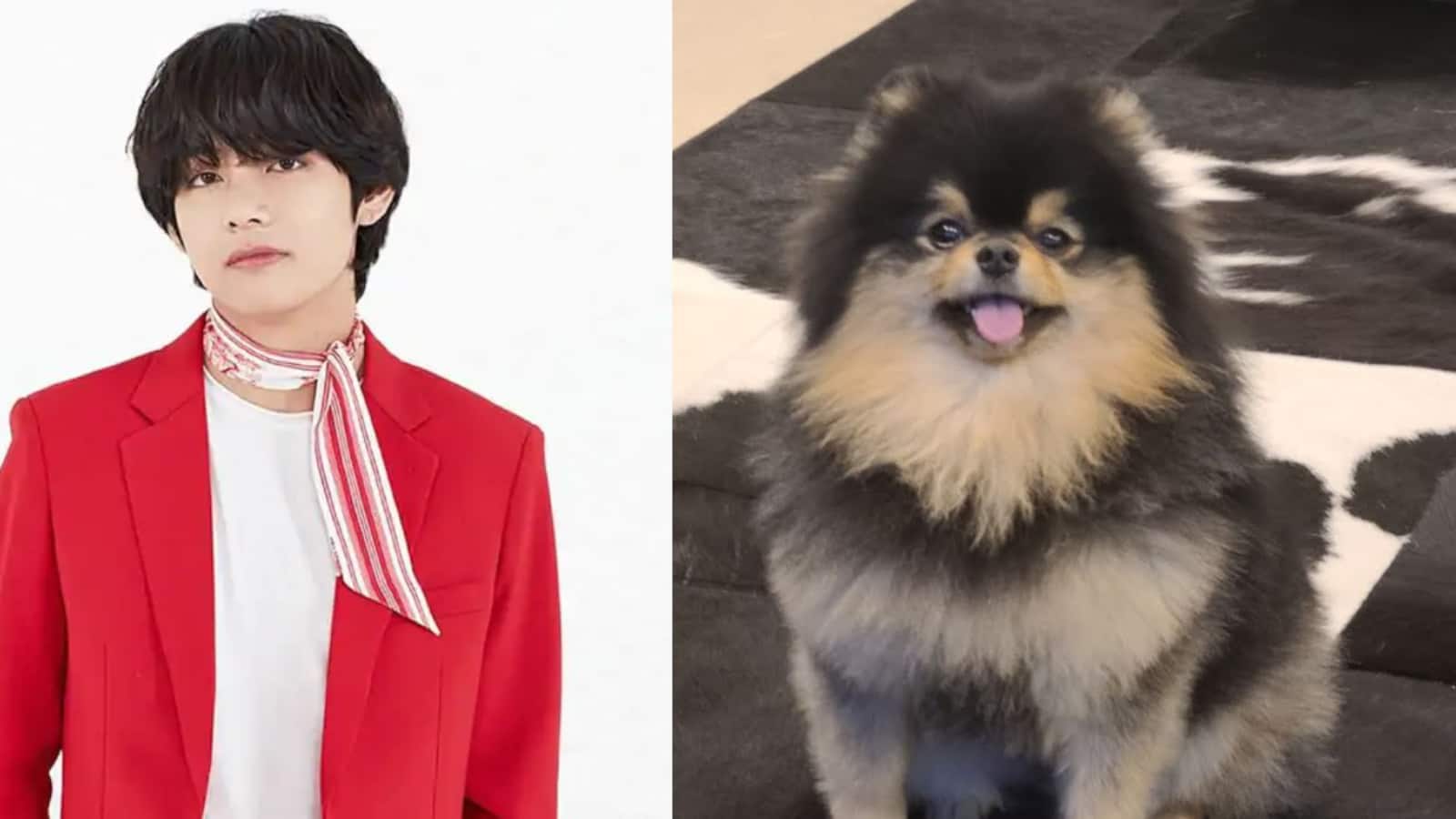 BTS: From J-Hope's Mickey to RM's Rapmon, THESE pet dogs of septet are ...