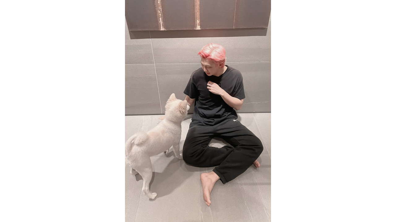 A look into BTS leader RM's glorious home that is a perfect blend of ...