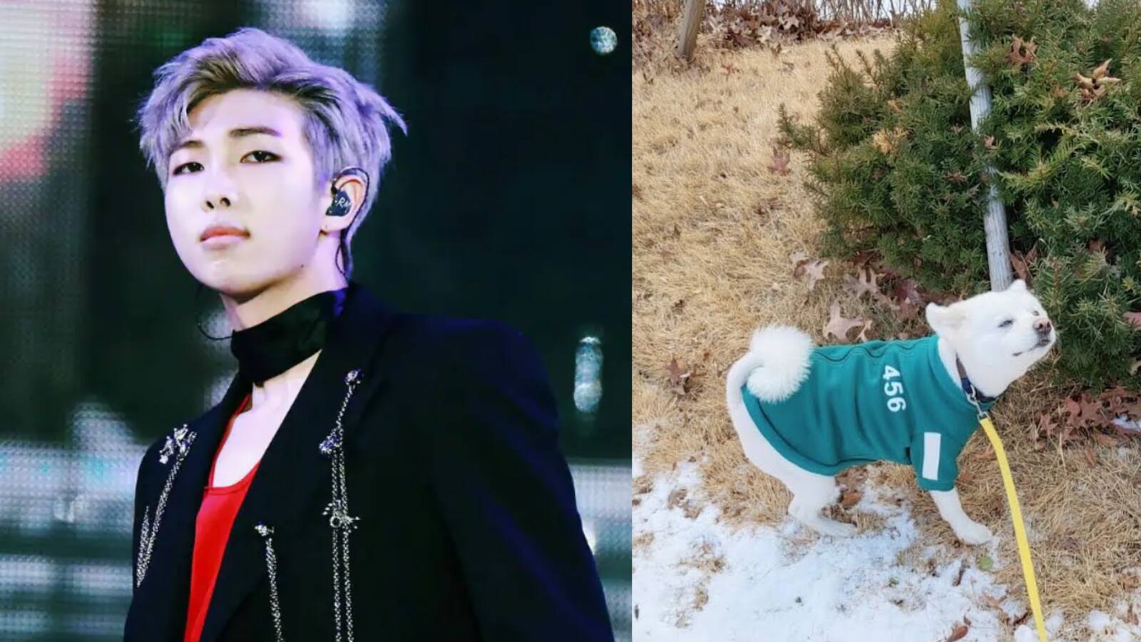 BTS: From J-Hope's Mickey to RM's Rapmon, THESE pet dogs of septet are ...